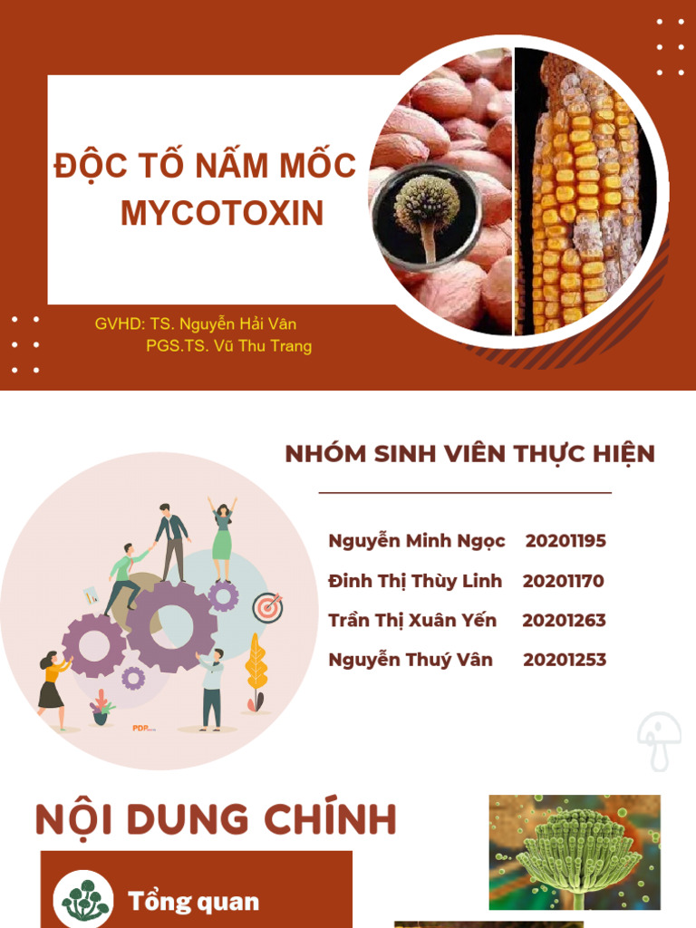 Độc Tố Nấm Mốc - Mycotoxin | PDF