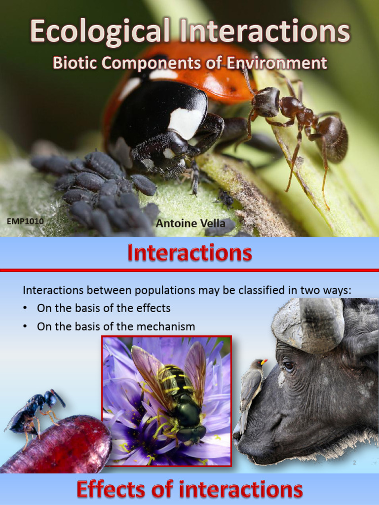 EMP1010 Ecological Interactions - Cycles - Ecosystems | PDF