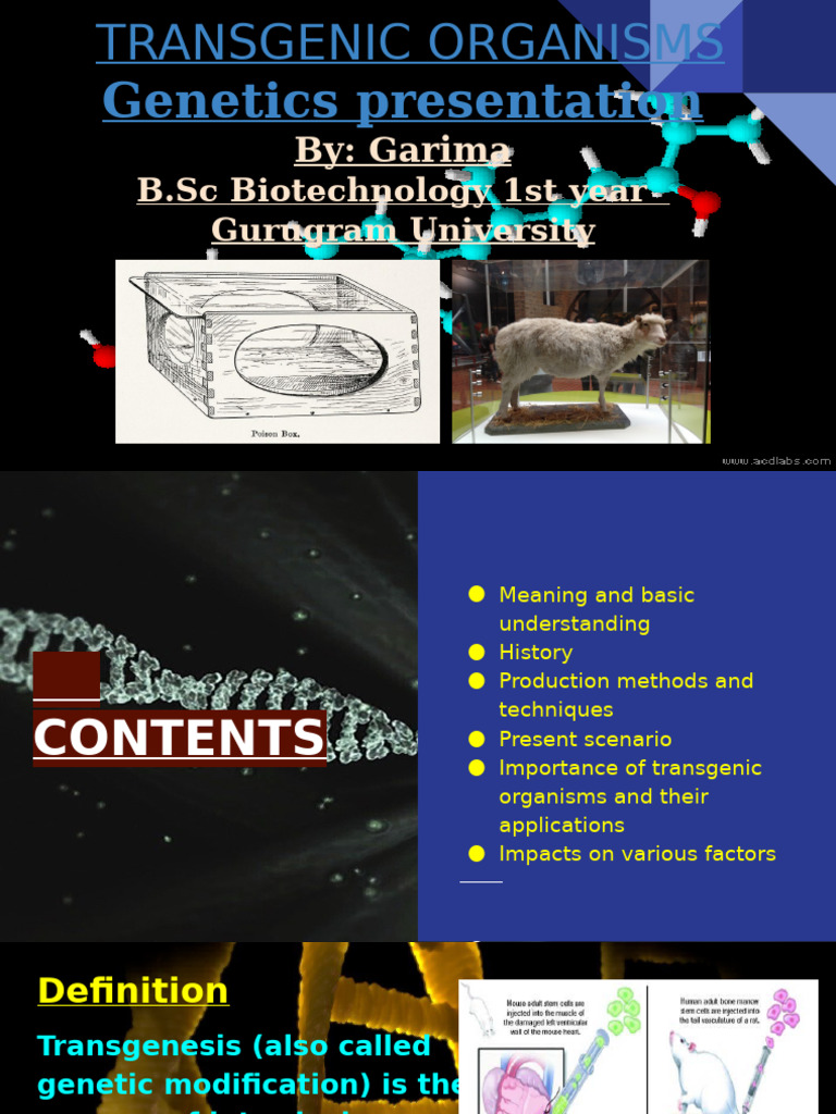 Transgenic Organisms - Introduction | PDF | Genetically Modified ...