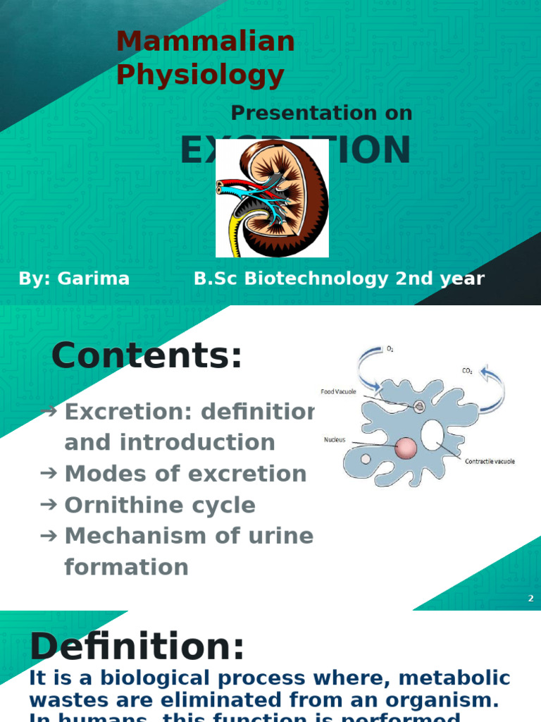 EXCRETION | PDF | Excretion | Kidney