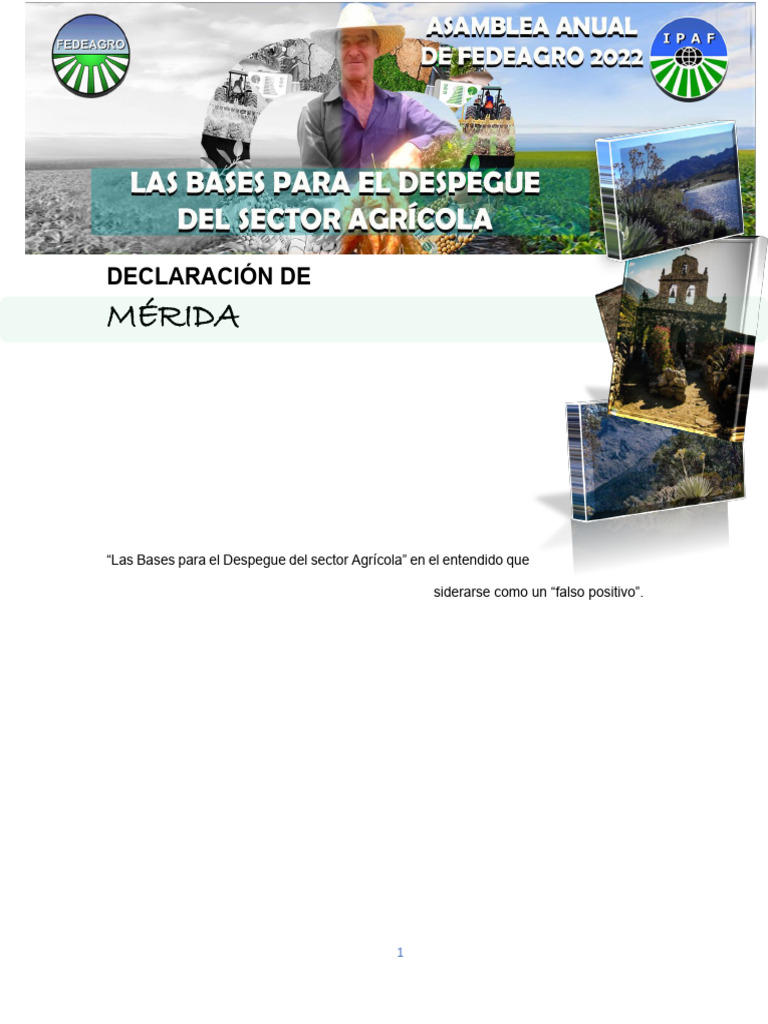 Declaracion de Merida Def | PDF