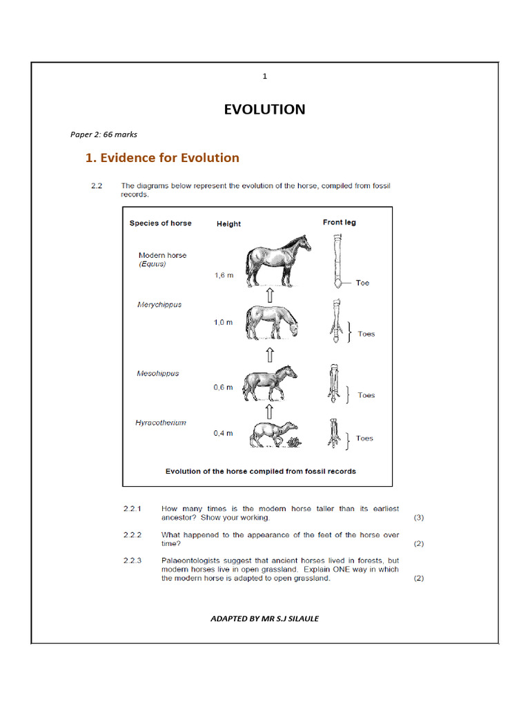 Evidence For Evolution | PDF