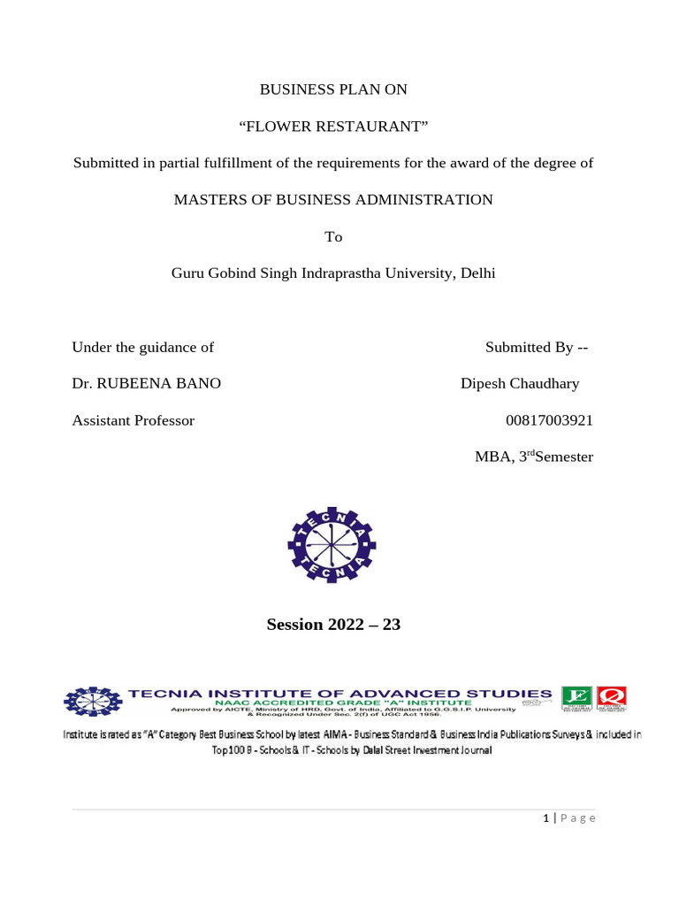 Dipesh Chaudhary's Business Plan | PDF