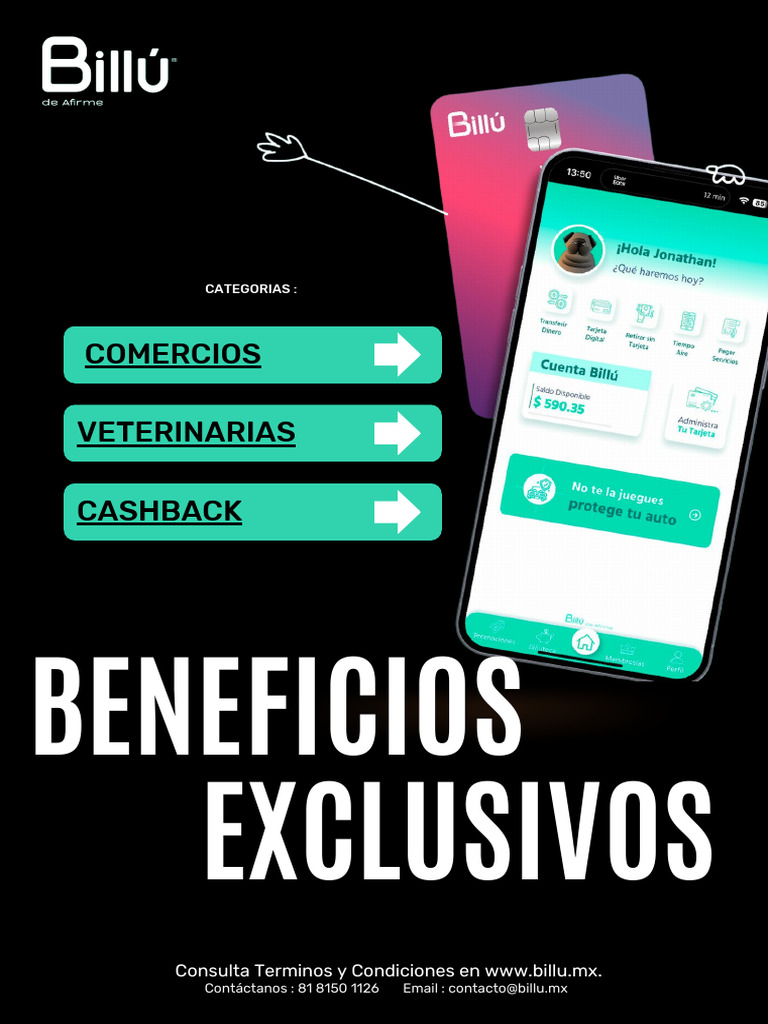 Cuponera_billu Sep 2024 | PDF