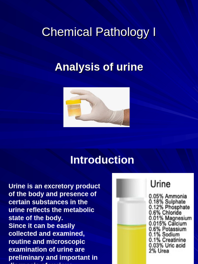 Urine | PDF
