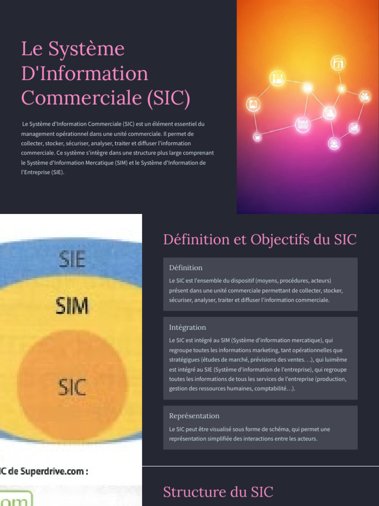 Le Systeme DInformation Commerciale SIC (1) | PDF