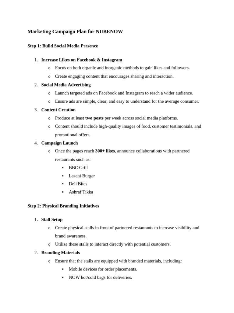 Marketing Campaign Plan For NUBENOW | PDF