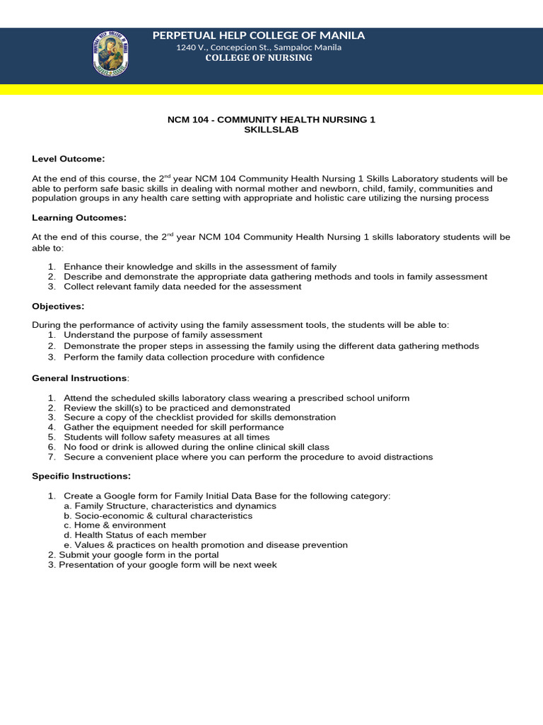 CHN 1 SKILLSLAB PRELIM Activity 4 Initial Data Base | PDF