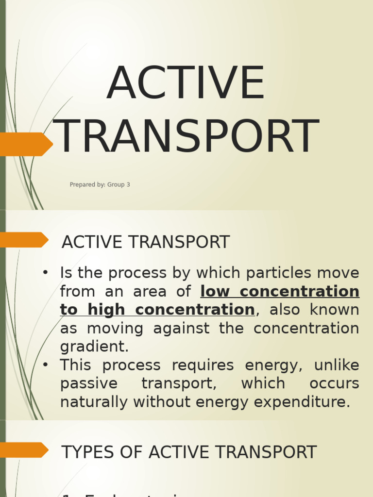 Active Transport - Lesson 3 - 120608 | PDF