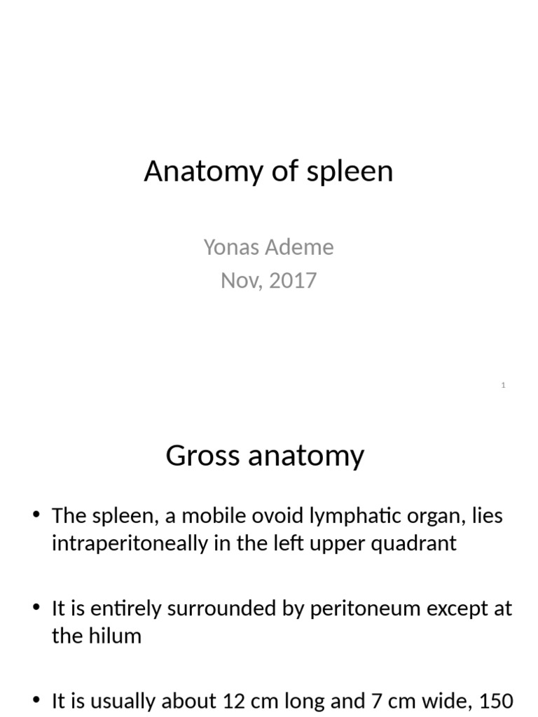 Anatomy of Spleen | PDF