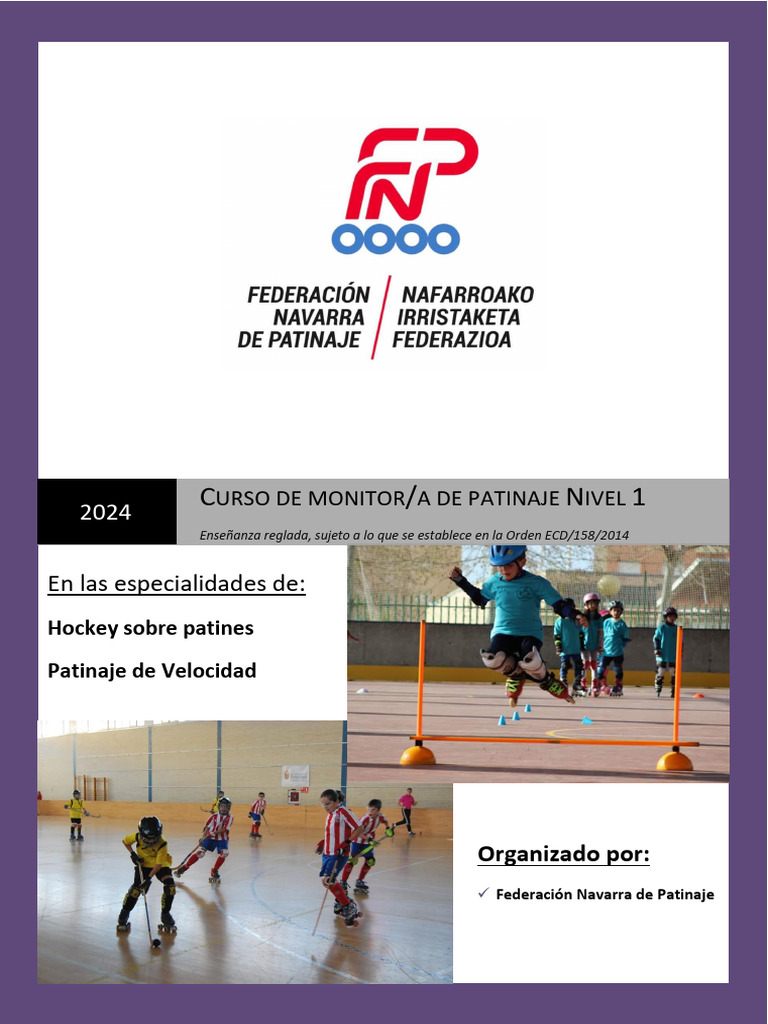 Convocatoria NIVEL 1 2024 FNP | PDF