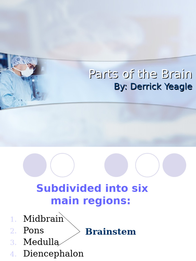 Overview of Brain Parts and Functions | PDF | Brainstem | Self-Improvement