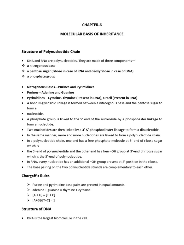 Molecular Basis of Inheritance.... | PDF | Operon | Gene