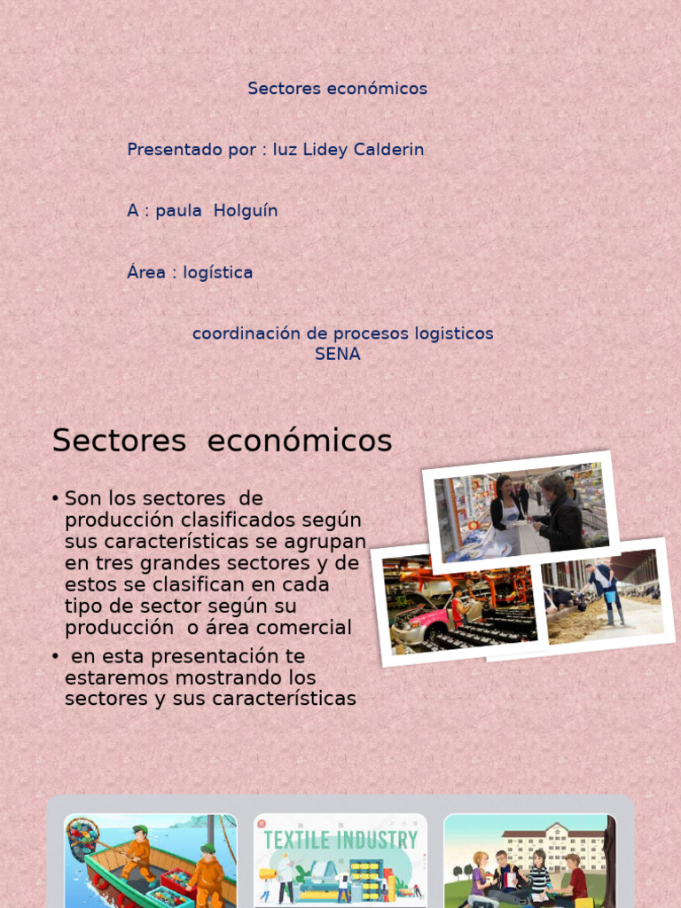 Sectores Economicos | PDF