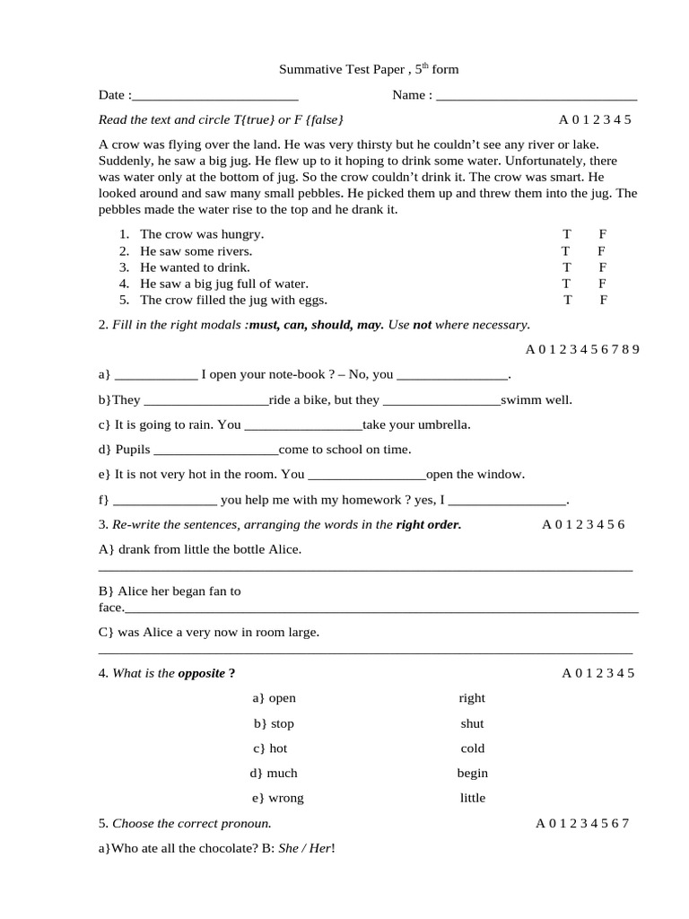 Summative Test Paper Unit 5 | PDF