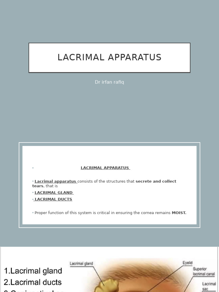 Lacrimal Apparatus | PDF