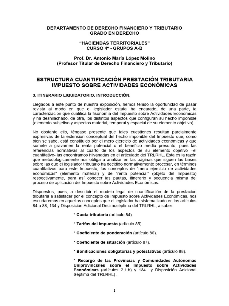 Documentacion Complementaria Num. 1 - Iae Estructura Liquidatoria | PDF