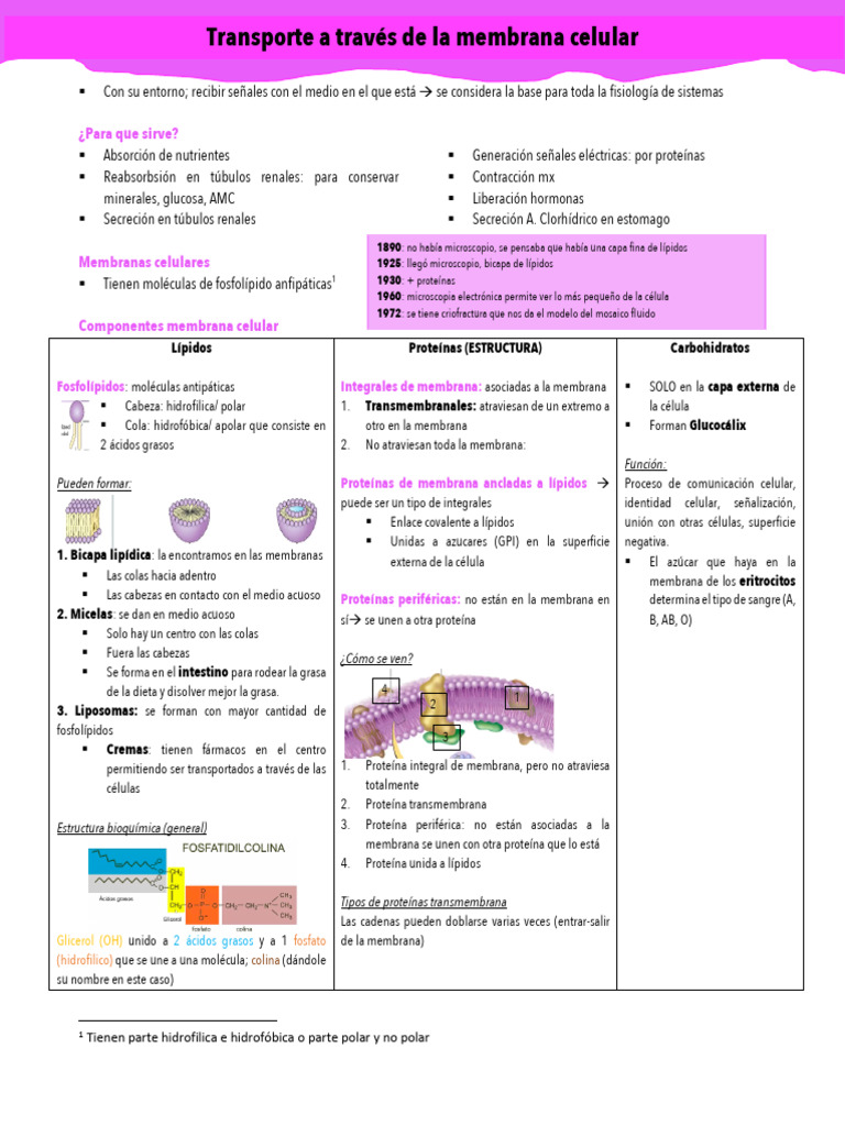 Fisio 1 Completo | PDF