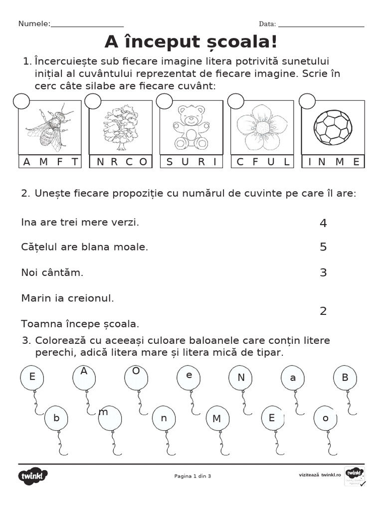 Evaluare initiala clasa I CLR | PDF