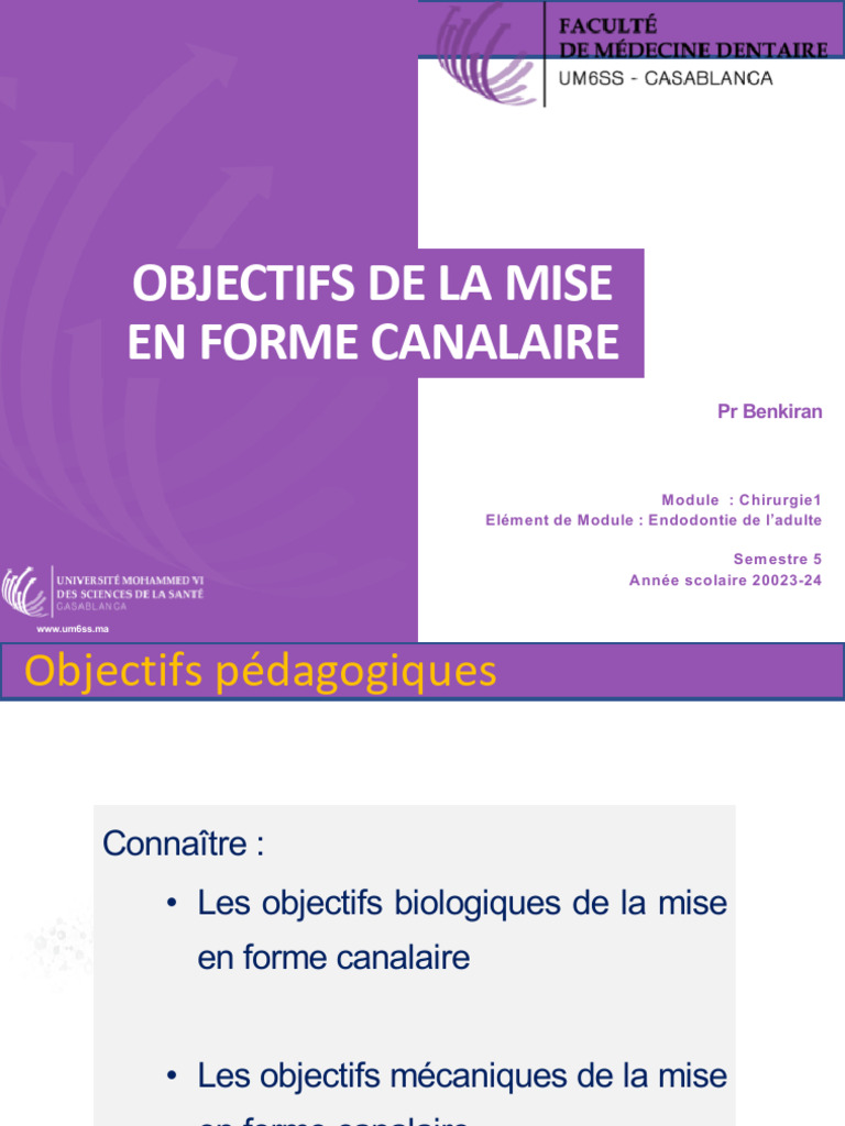4 Objectifs de La Mise en Forme Canalaire | PDF