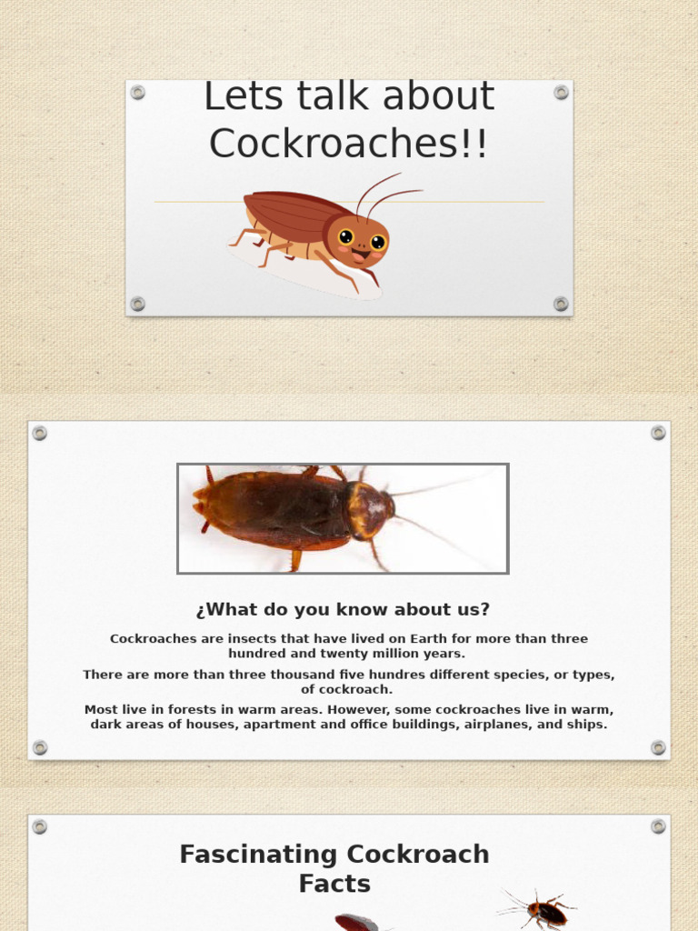 Lets talk about Cockroaches!! | PDF