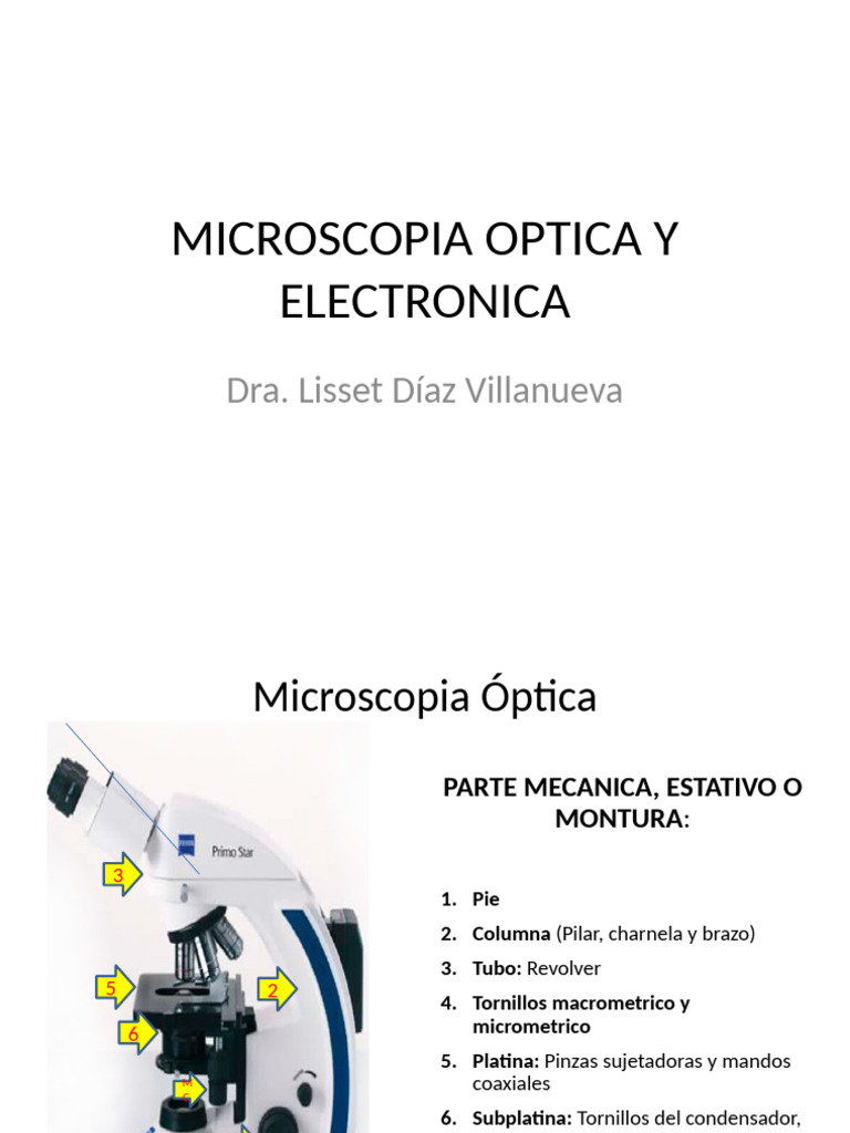 Microscopia Optica y Electronica | PDF