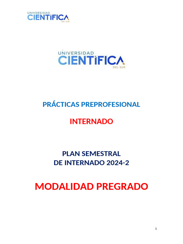 Plan Semestral Internado - 2024-2 - PREGRADO | PDF