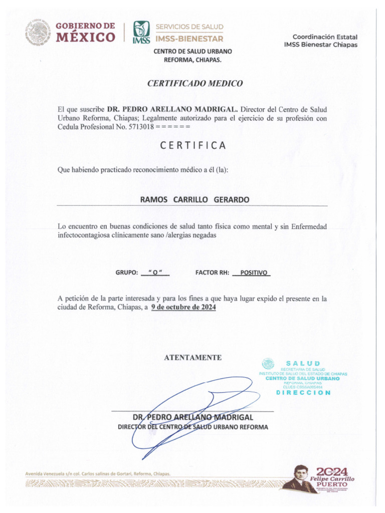 Certificado Gerardo | PDF