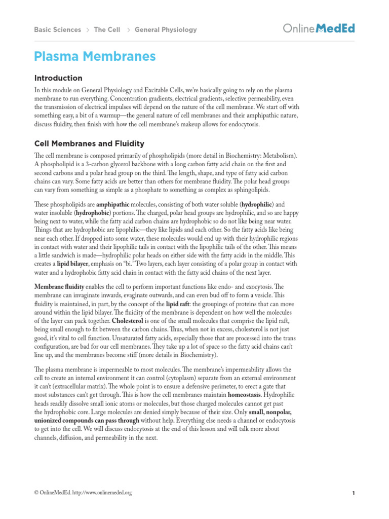 01- Plasma Membranes | PDF