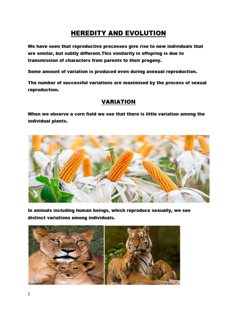 Heredity and Evolution | PDF