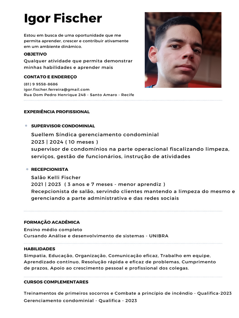 Curriculum Vitae - Igor Fischer | PDF