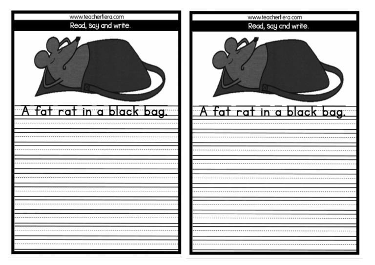 A Fat Rat | PDF