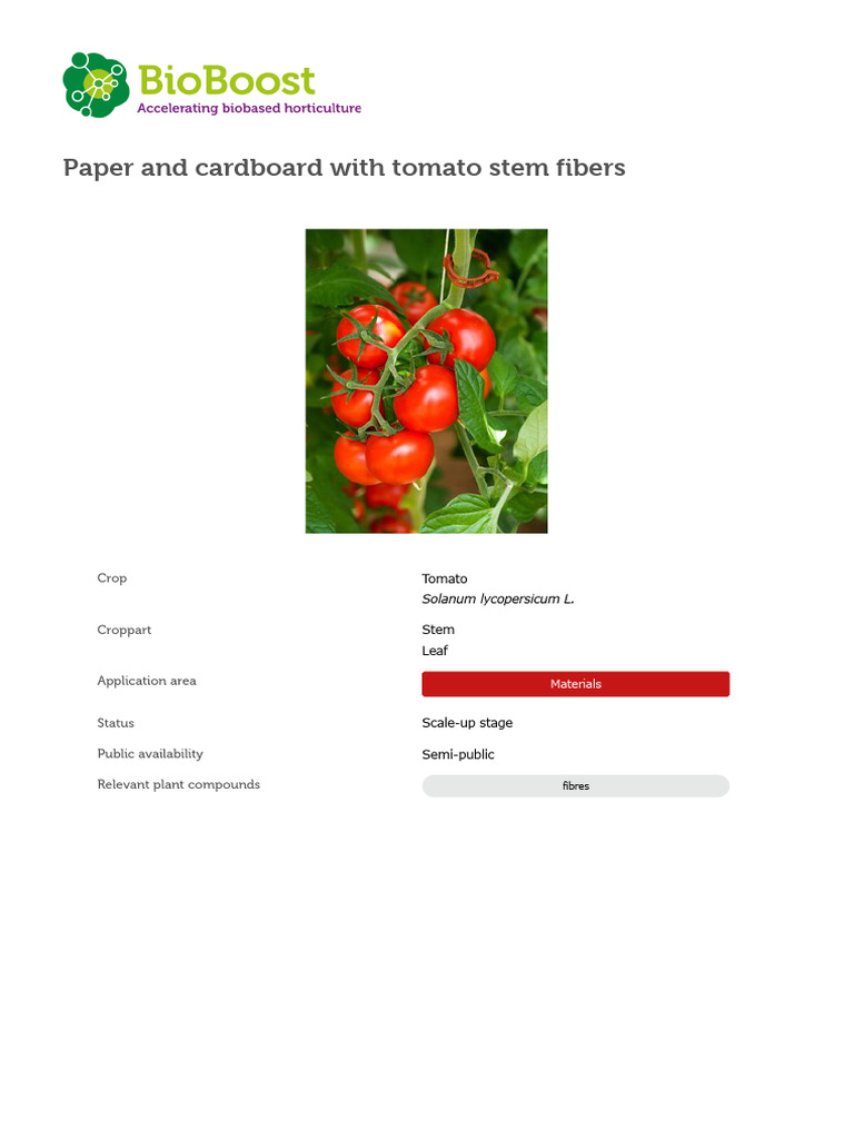 Paper and Cardboard With Tomato Stem Fibers | PDF