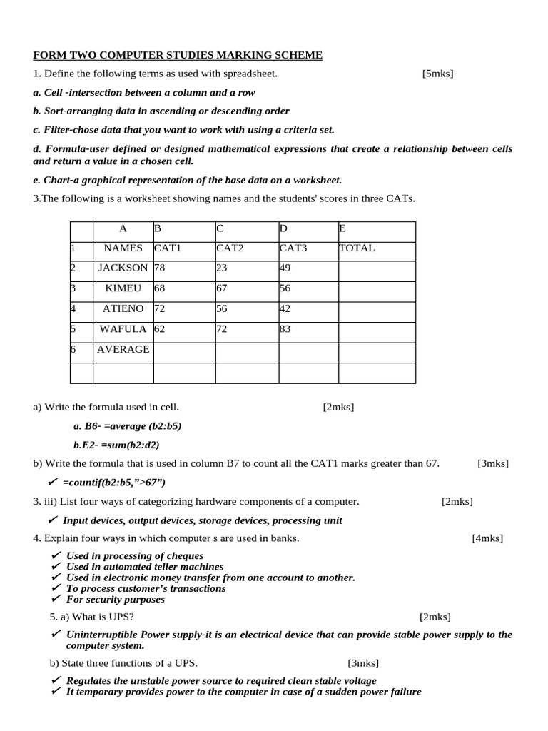 Computer Studies f2t2 2024 Ms | PDF | Computer Data Storage | Disk Storage