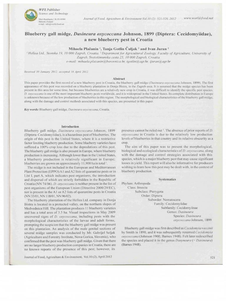 Blueberry Gall Midge, Dasineura Oxycoccana Johnson, 1899 ... | PDF