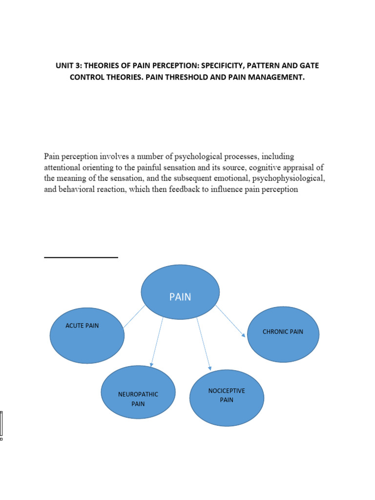 Pain Theories | PDF