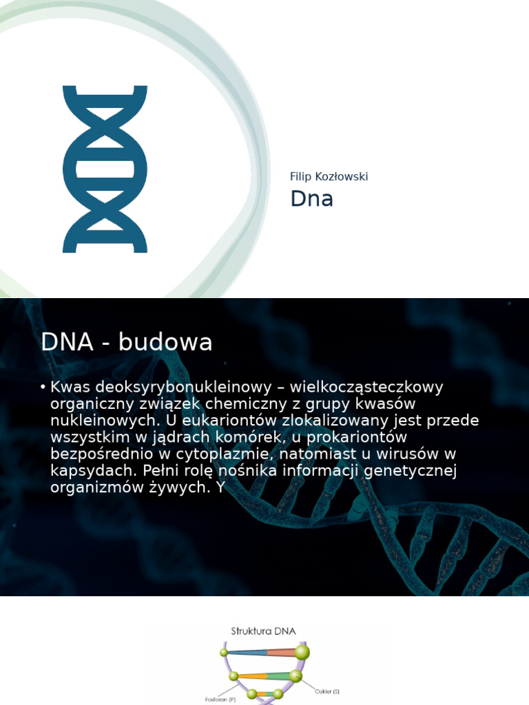 Dna | PDF