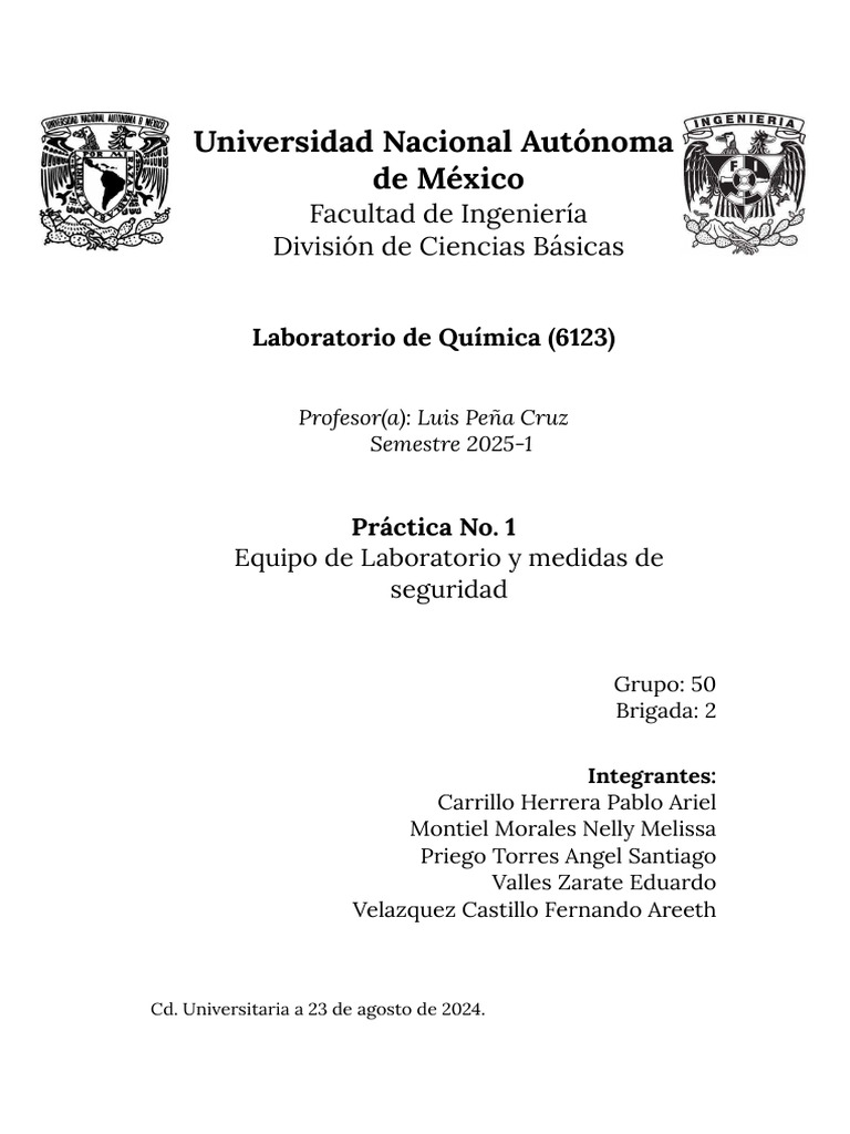 Informe 01 | PDF