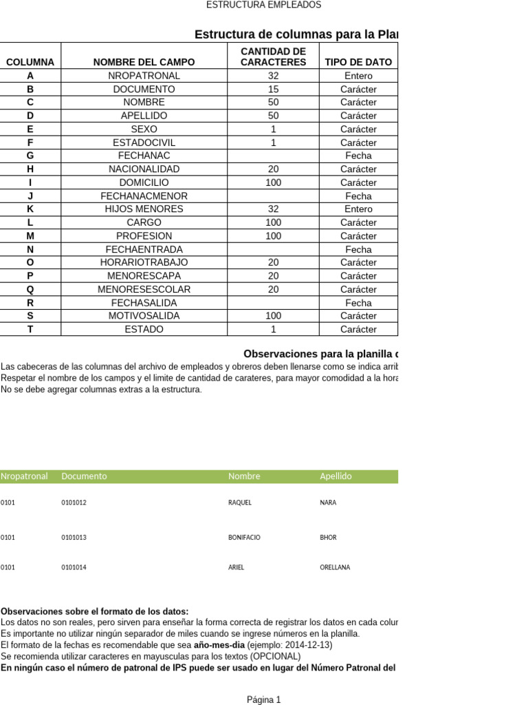 Estructura Planillas 2024 | PDF