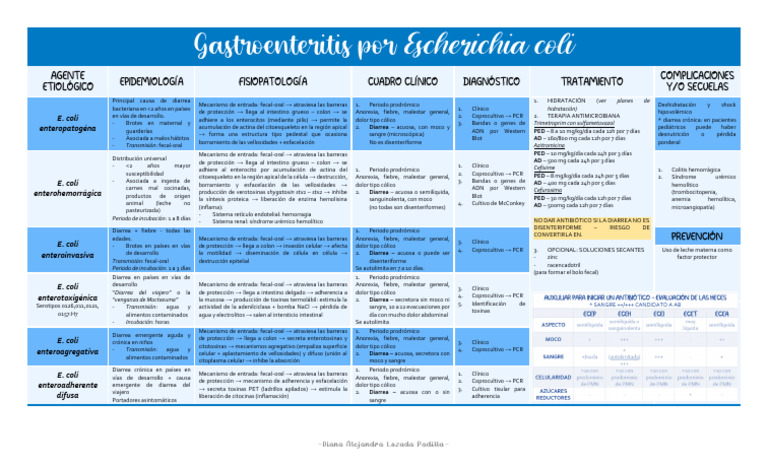 Gastroenteritis Por E.coli | PDF