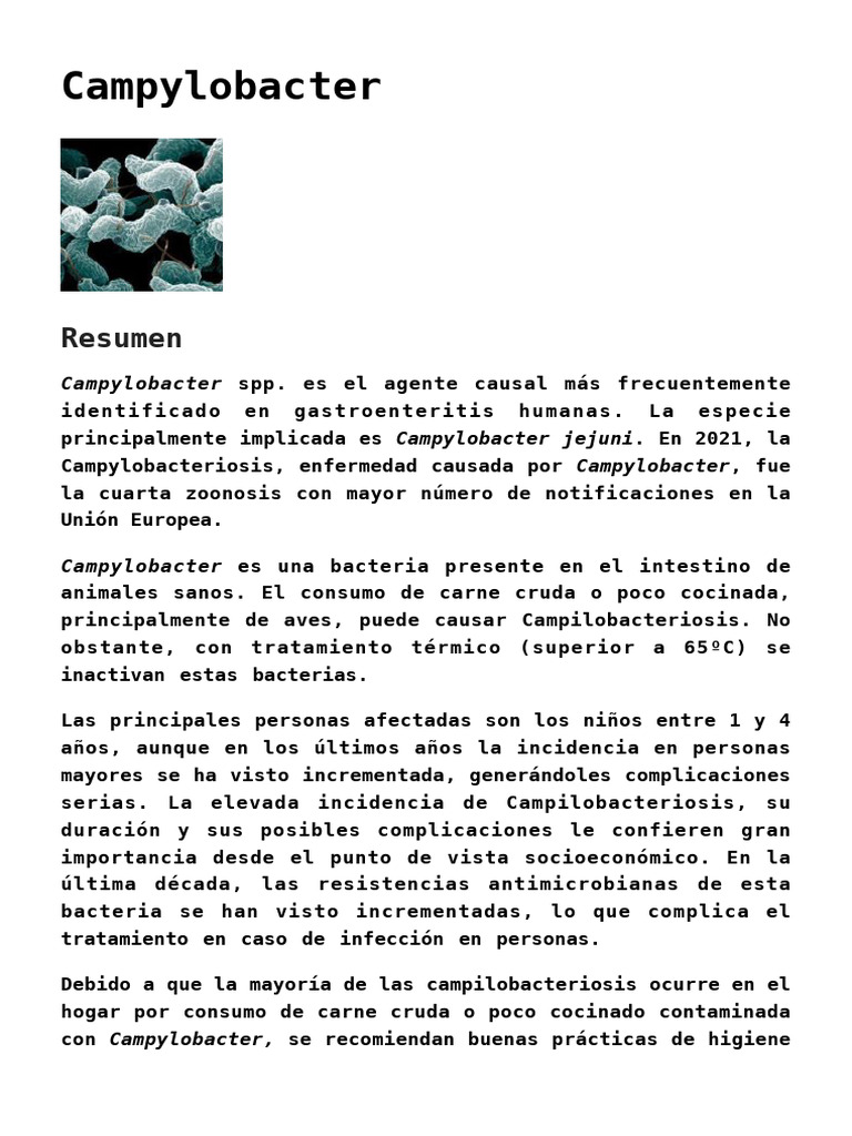 Generalidades Campylobacter | PDF