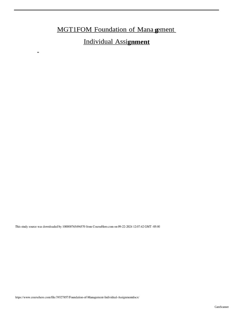 Foundation_of_Management_Individual_Assignment.docx (1)-converted | PDF