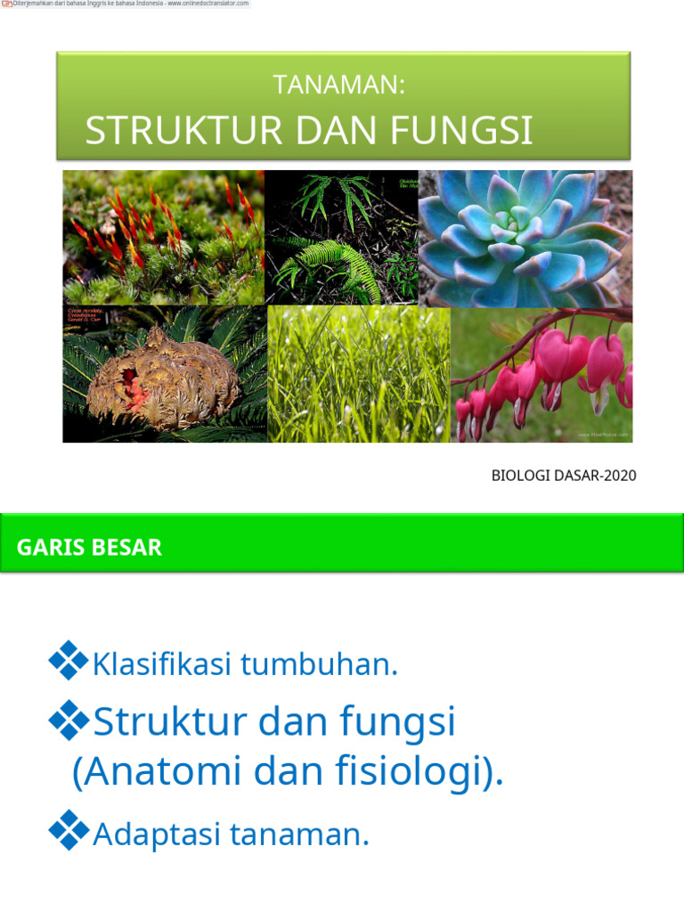 Kuliah7_Plants, Structure and Functions_2020.en.id | PDF
