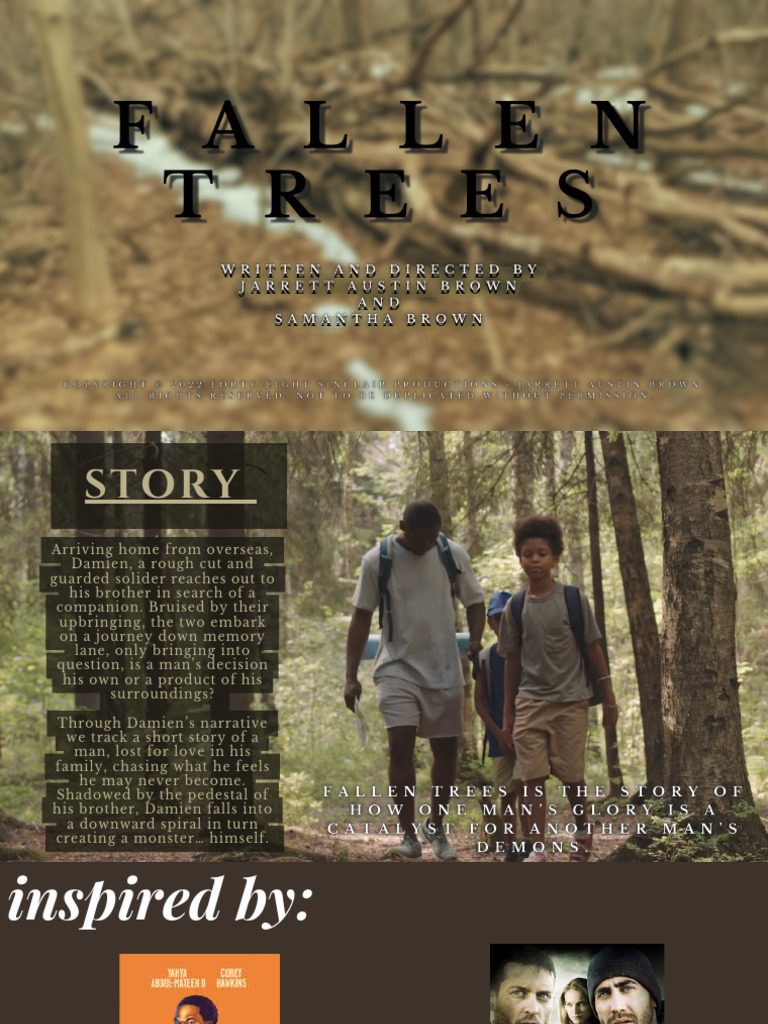 Fallen Trees 2 | PDF