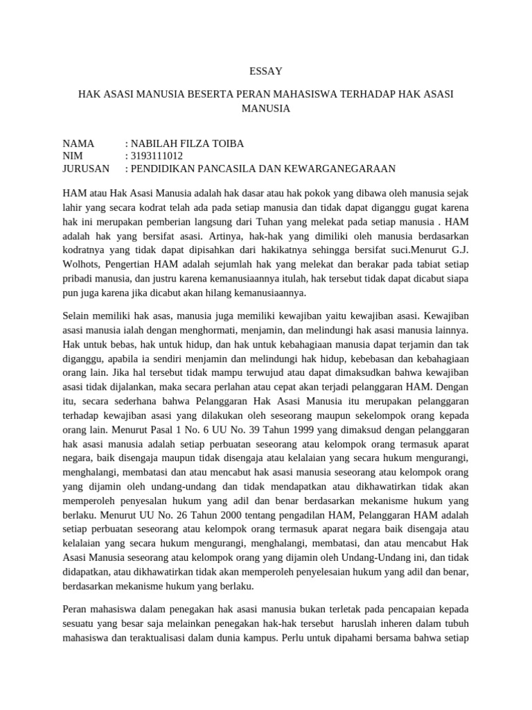 ESSAY | PDF