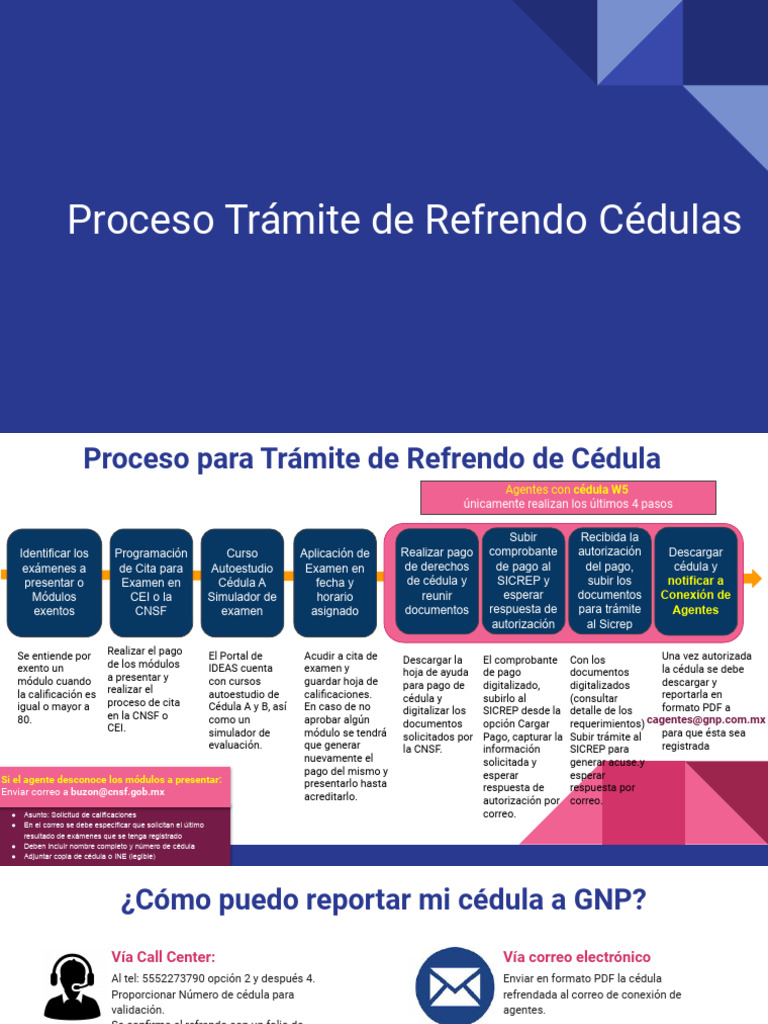Proceso TR Mite de Refrendo | PDF