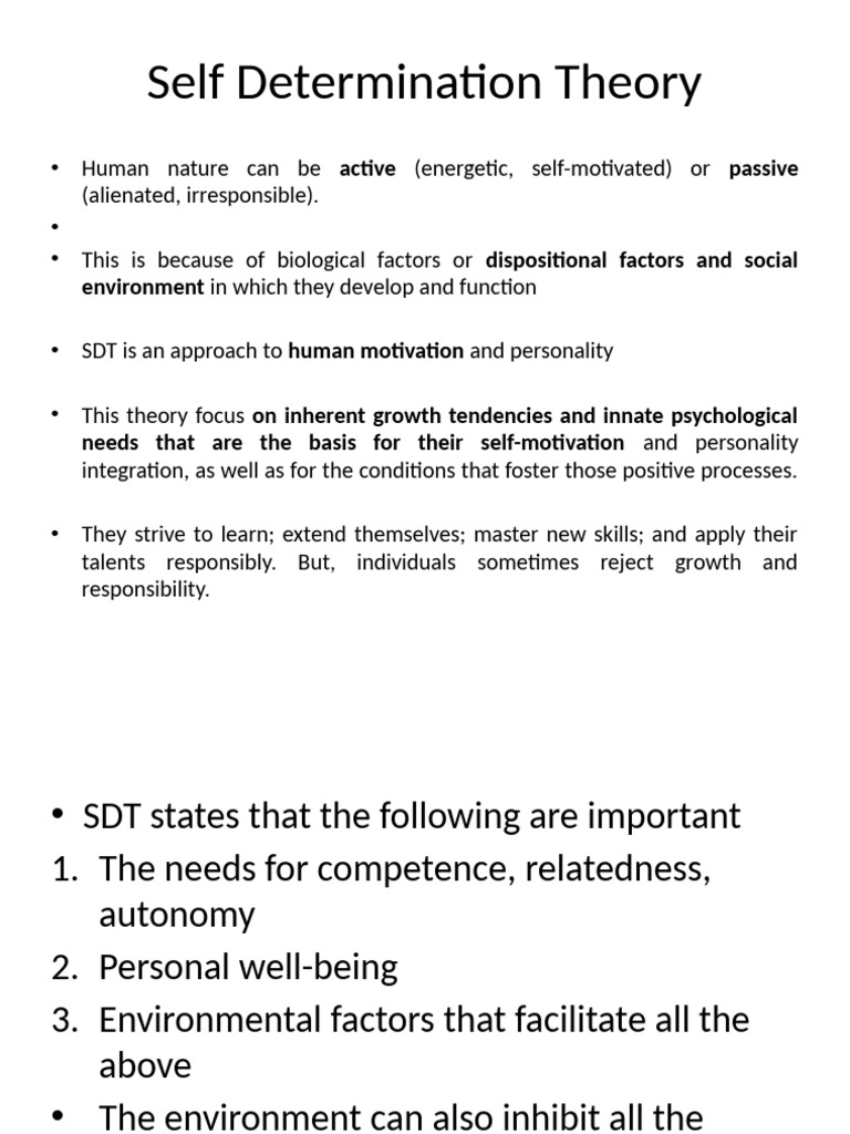 Self Determination Theory | PDF