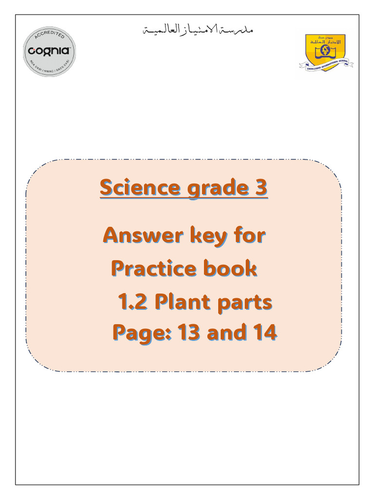 Plant Parts Worksheet Answer Key | PDF