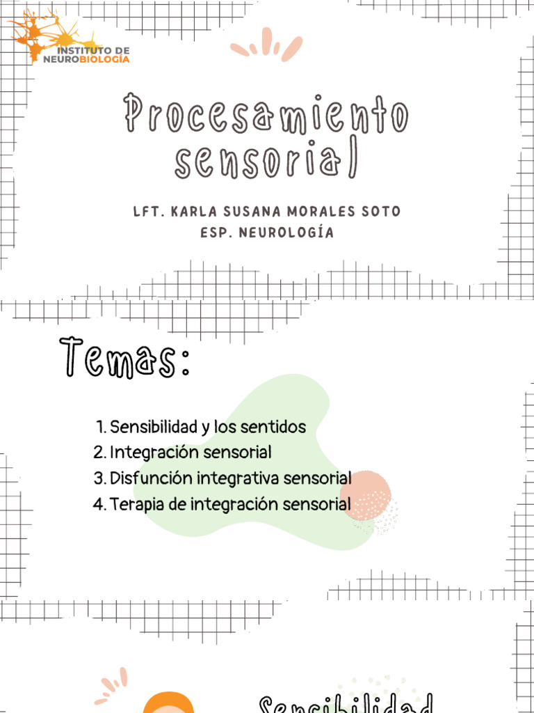 Procesamiento Sensorial | PDF