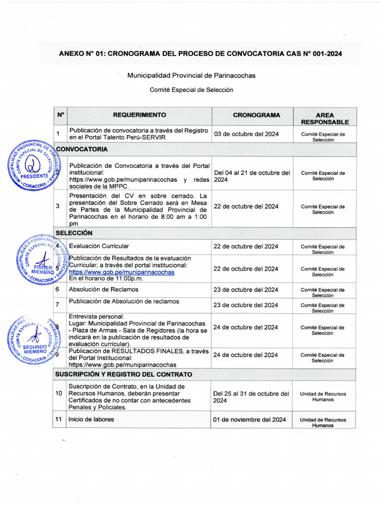 Anexo 01 Cronograma | PDF